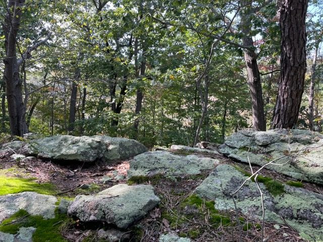 Fran Thompson's Story - HSS Back in the Game