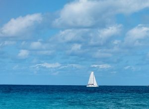 Phyllis Caro's Story - HSS Back in the Game