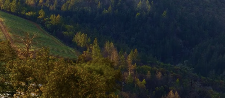 Ryan Rothstein's Story - HSS Back in the Game